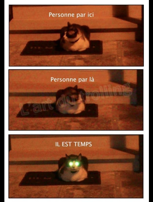 mdr - Meme subido por nico.60 :) Memedroid