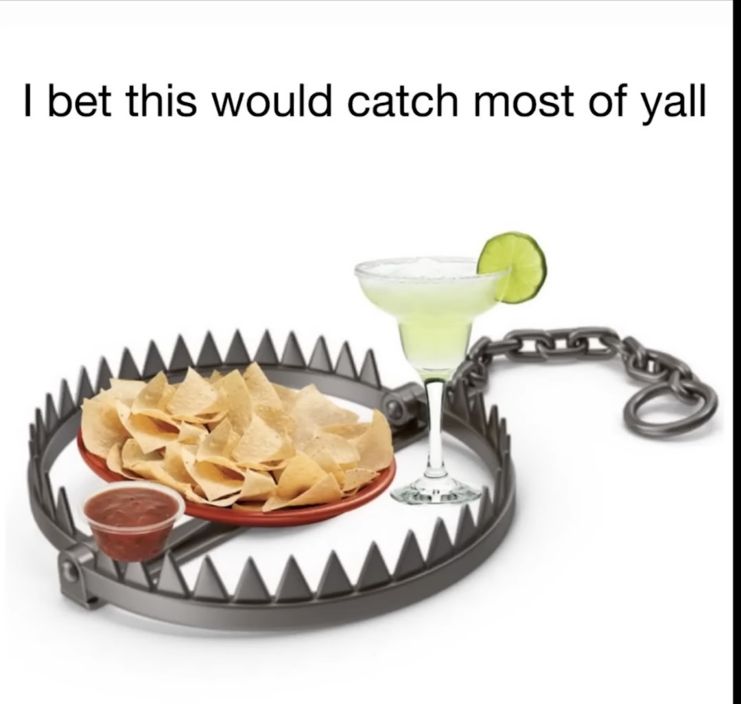 Memedroid - The best site to see, rate and share funny memes and pics!