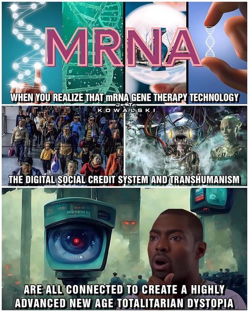 The Latest Memes :) Memedroid