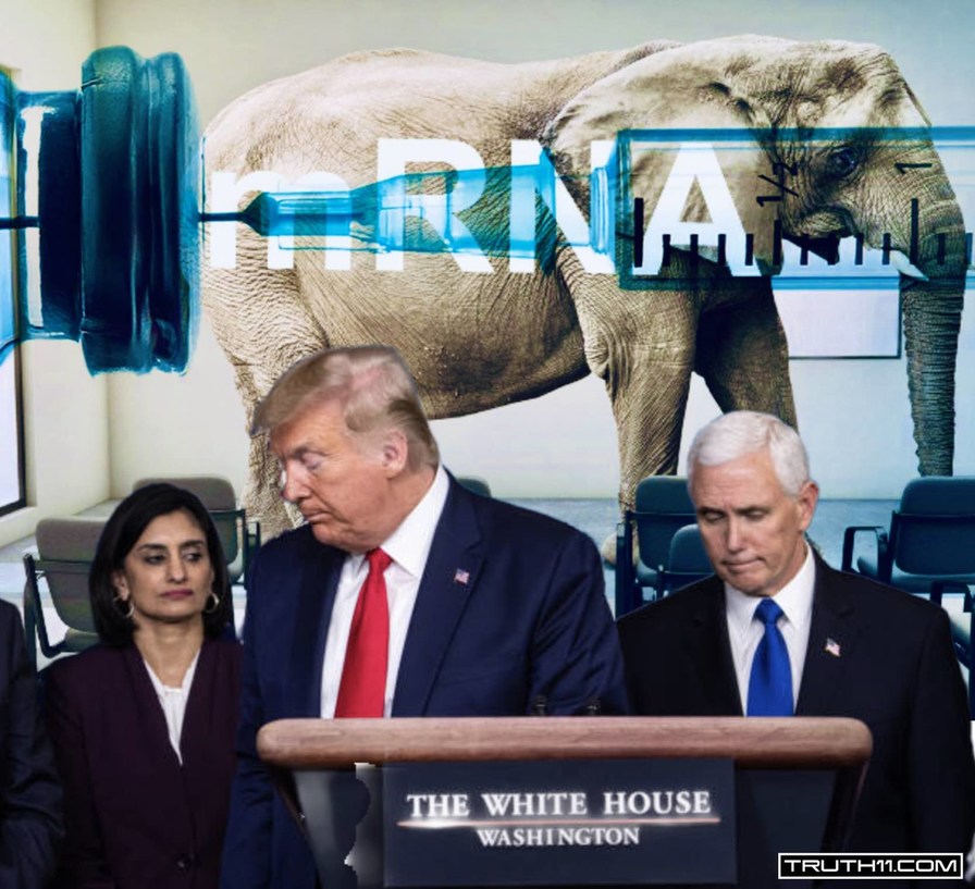 The Latest Memes :) Memedroid