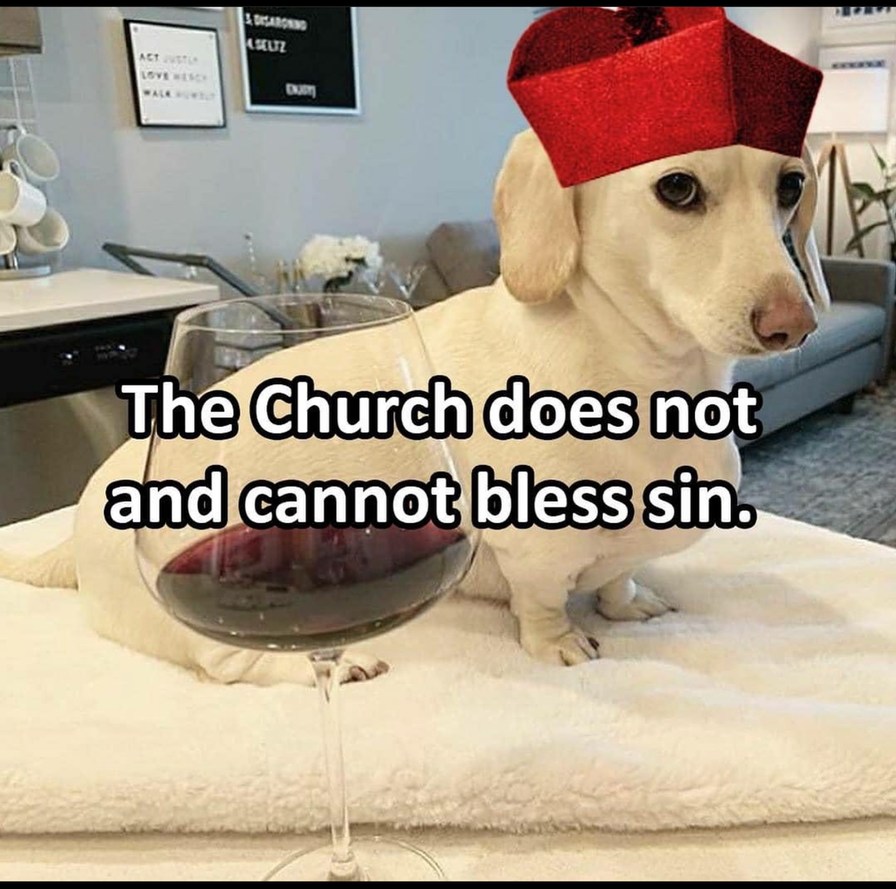 Latest memes / New memes :) Memedroid