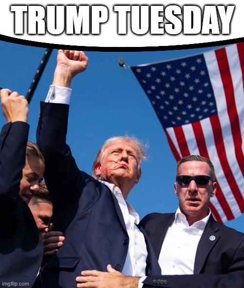 Explore the newest Tuesday memes on Memedroid!