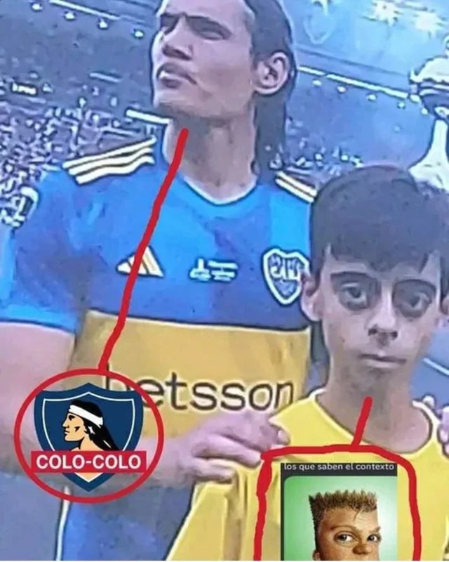 Top memes de Colocolo en español :) Memedroid