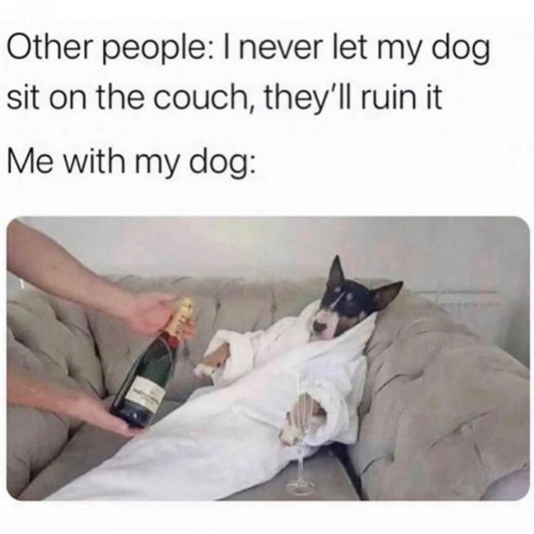 Latest memes / New memes :) Memedroid