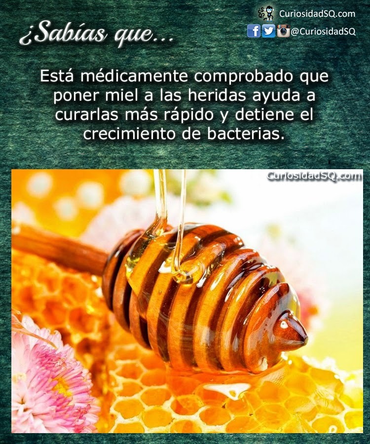 miel sirve para todo moderenlo - Meme subido por felipesalassartore ...