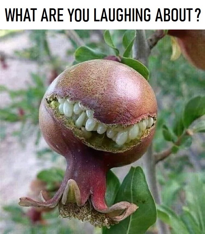 The best Grinninggrace memes :) Memedroid