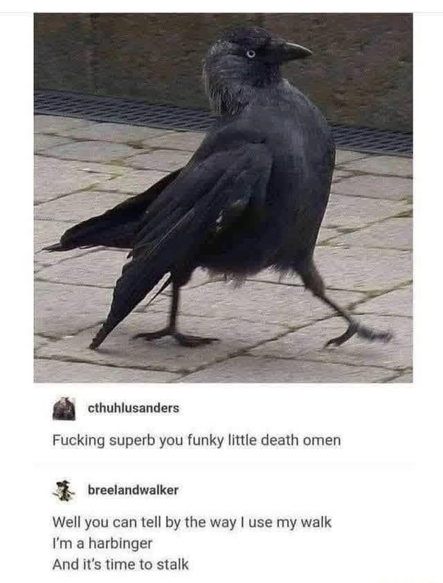 The best Crow memes :) Memedroid