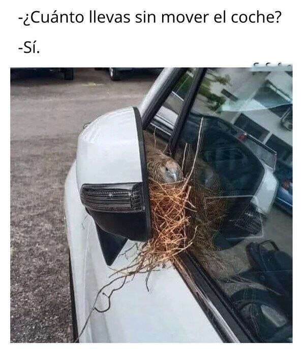Top memes de Coches en español :) Memedroid