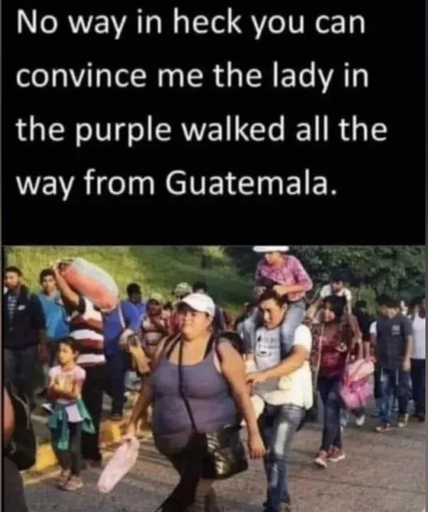 Latest memes / New memes :) Memedroid