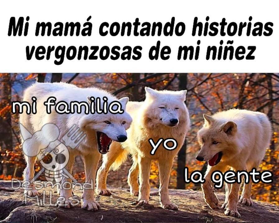 la verdad - Meme subido por S1M2 :) Memedroid