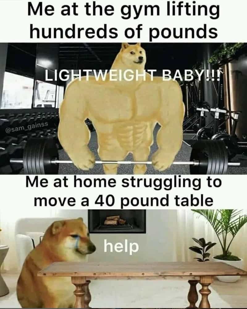 Fake Help Memes #fake I'd 😂😉 #Fake I'd Fake I'd 😂😉