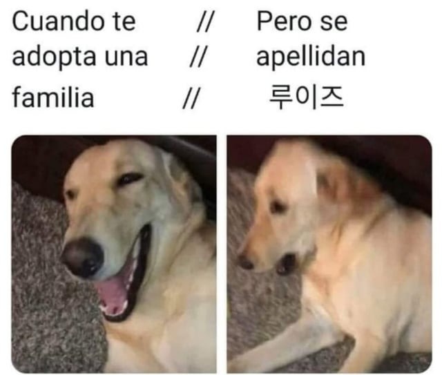 Familia adopta un perrito - Meme by Lystermac :) Memedroid