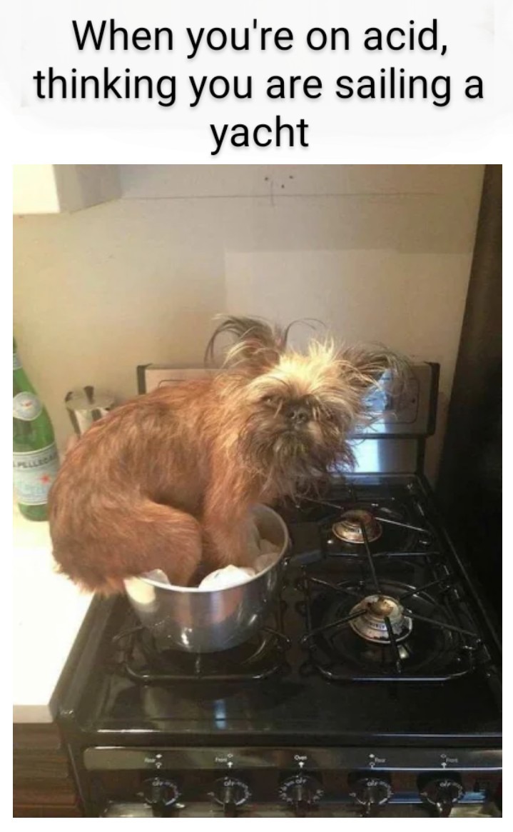 I'm looking for treasure - Meme by EstebanVasquez :) Memedroid