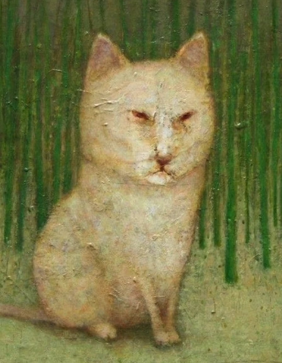 Los Últimos Memes :) Memedroid