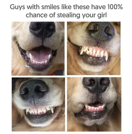 The best Smile memes :) Memedroid