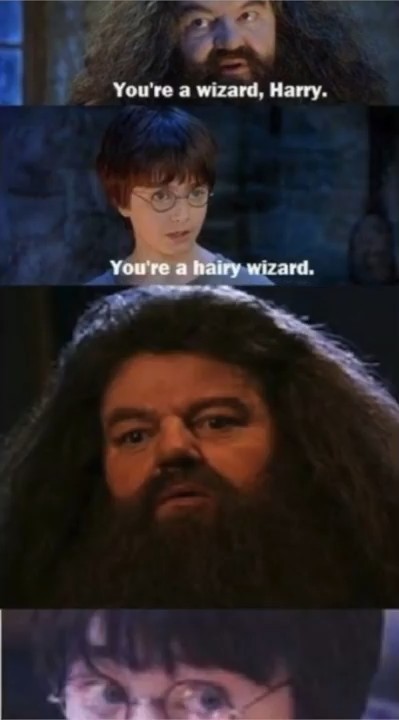 Wizzards - Meme by Epicuris :) Memedroid