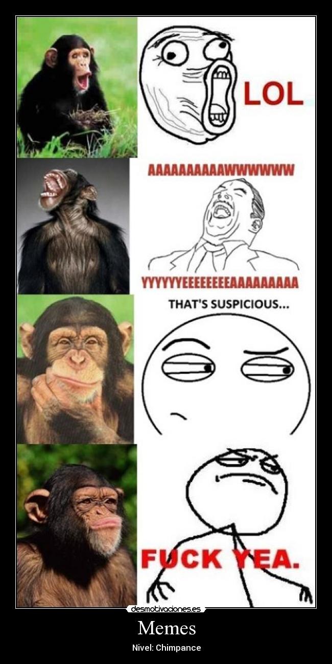 Top memes de Chimpance en español :) Memedroid