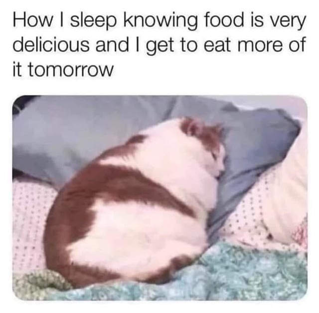 The best Sleep memes :) Memedroid