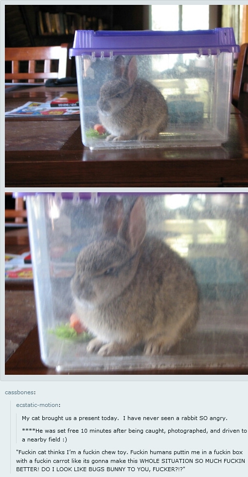 not happy - Meme by shzball :) Memedroid