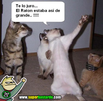 looooooool - Meme by fubol :) Memedroid