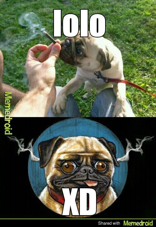 kol - Meme subido por inuyacha13 :) Memedroid