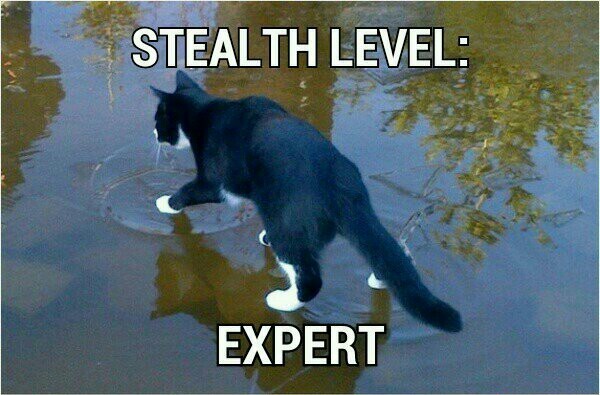 expert.. - Meme by Modrate :) Memedroid