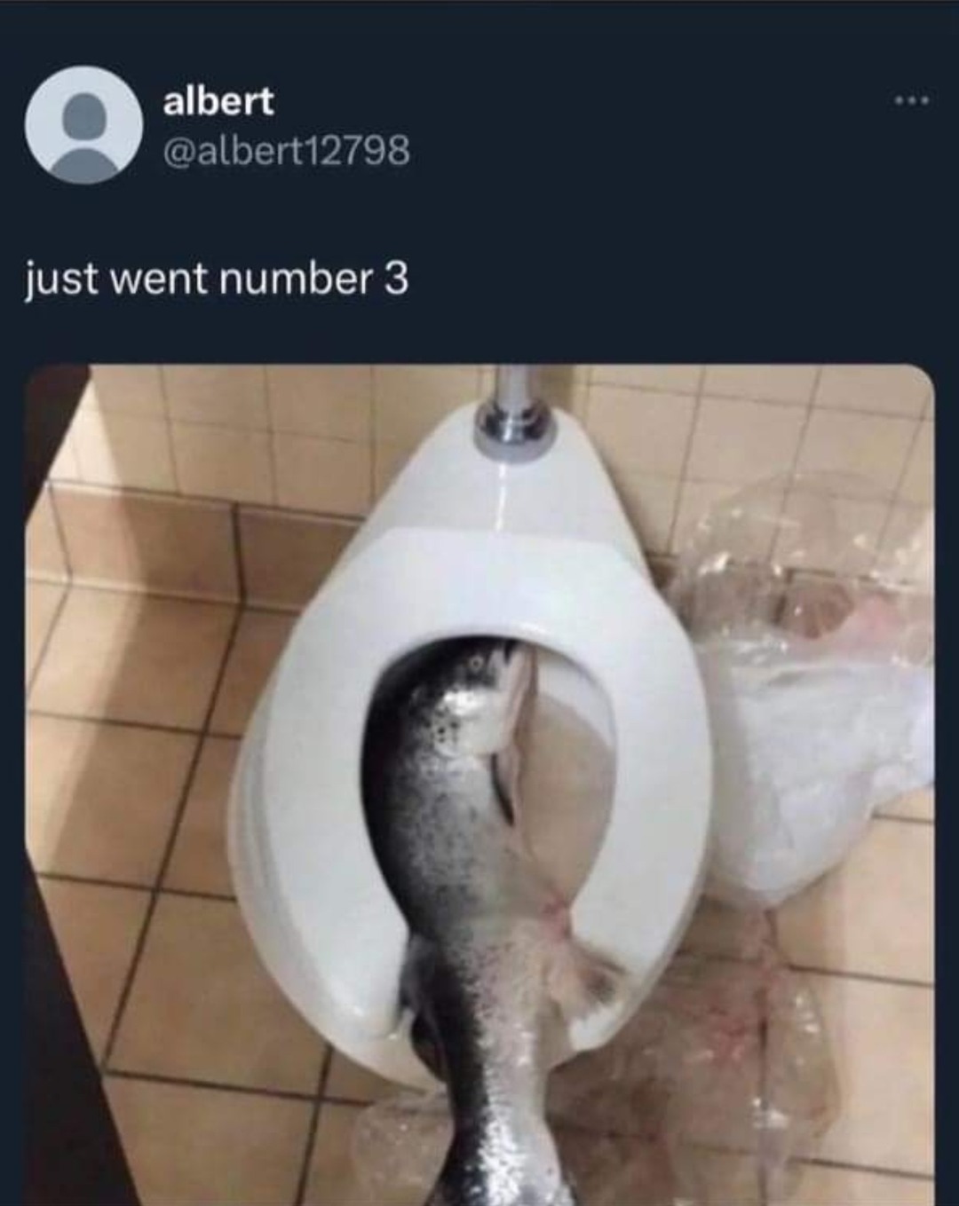 Just Poop Meme I Just Shit Myself GIFs | Tenor