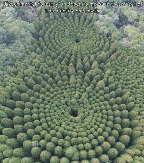 The best Tree memes :) Memedroid