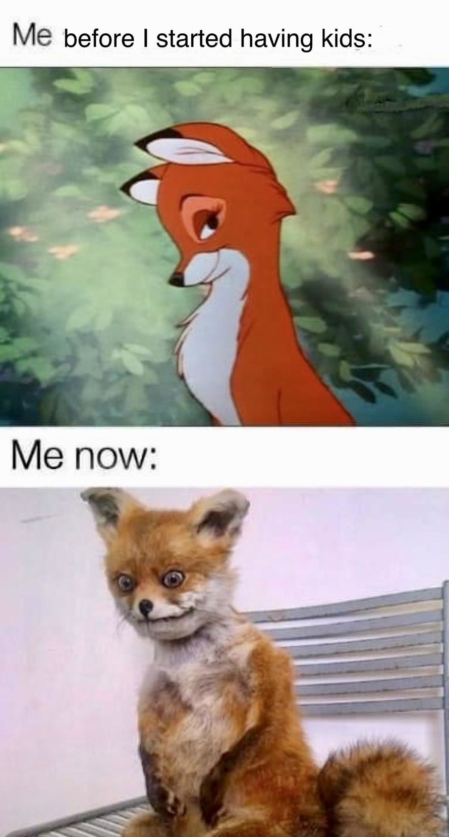 F - Meme by shrimpready :) Memedroid