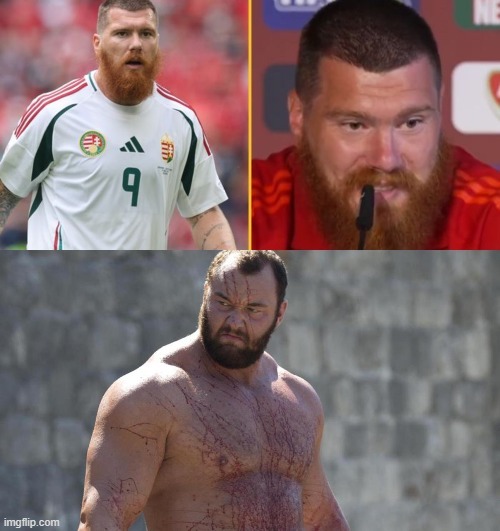 The Latest Memes :) Memedroid