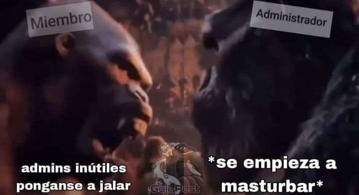 Top memes de Monos en español :) Memedroid