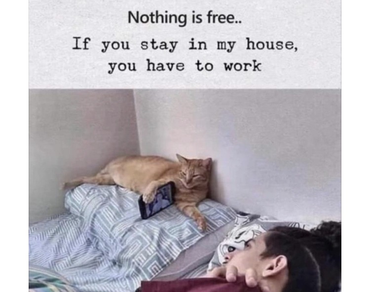 My form of rent - Meme subido por Mhmm_just_memes :) Memedroid