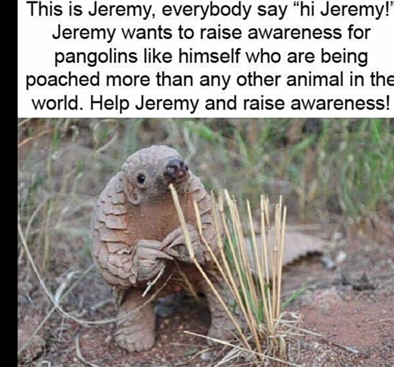 hi Jeremy - Meme by san_antonio :) Memedroid