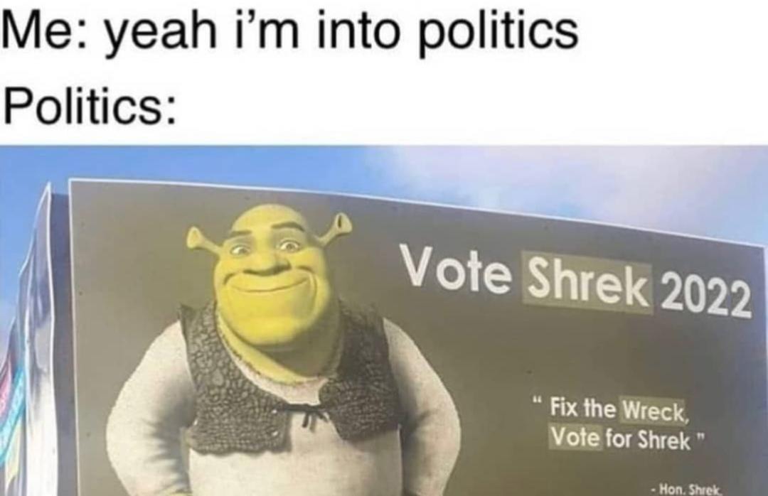 Yes, i'm into politics - Meme subido por roawesome :) Memedroid