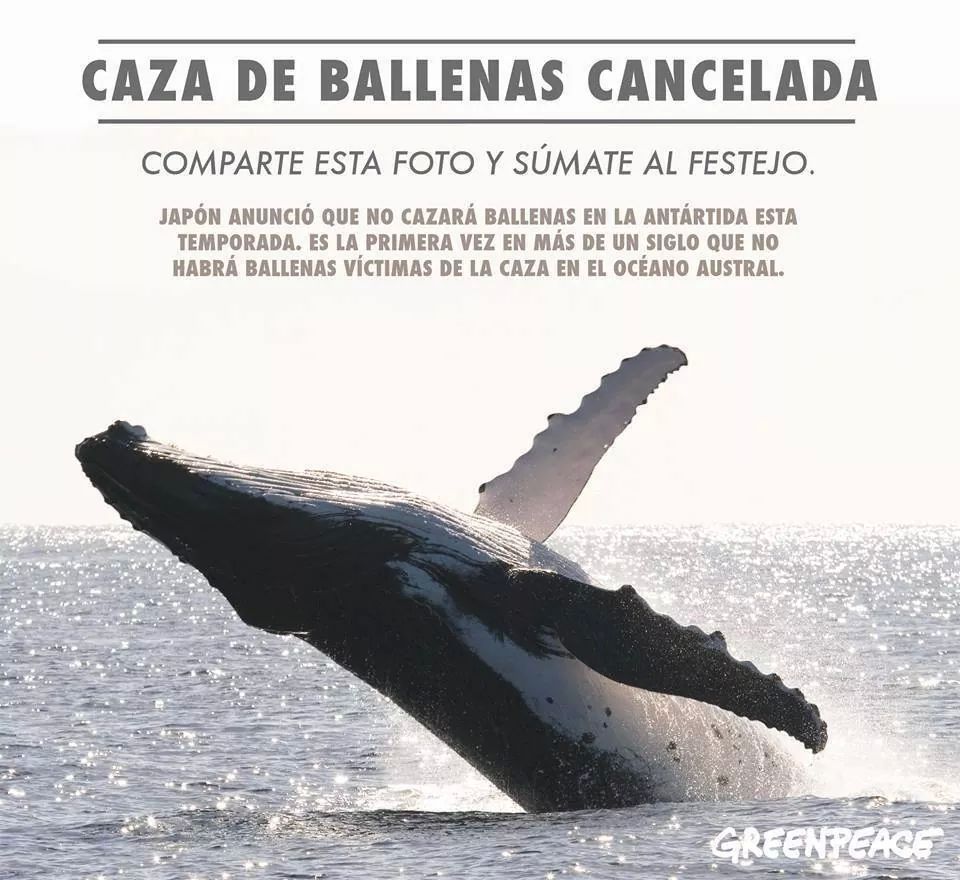 caza de Ballenas Cancelada - Meme subido por matiiladiez.mt :) Memedroid