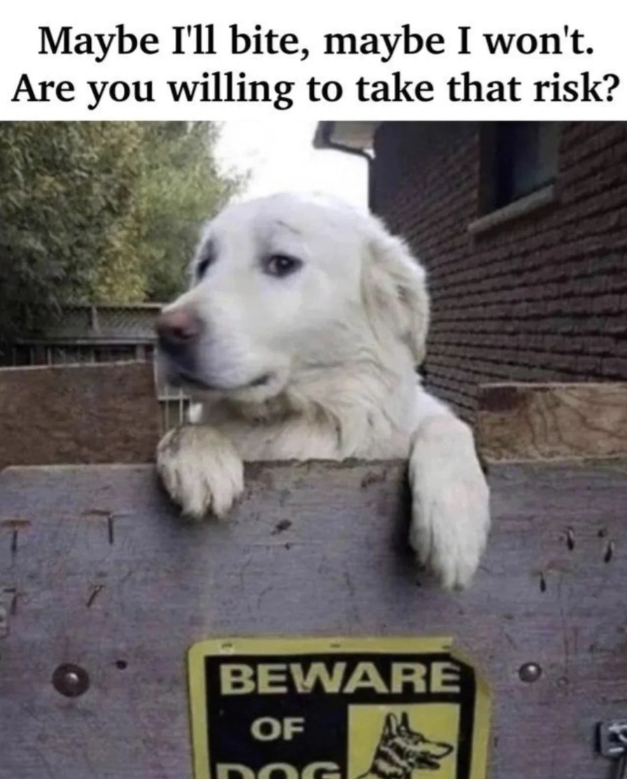 The best Sus memes :) Memedroid