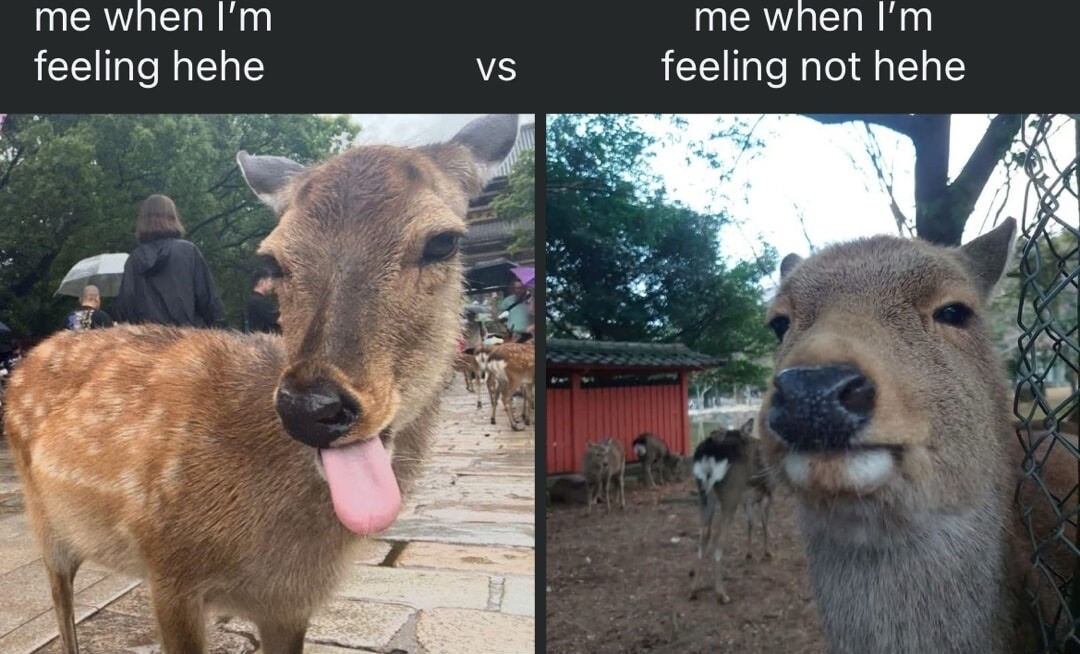 The best Emotional Binary memes :) Memedroid