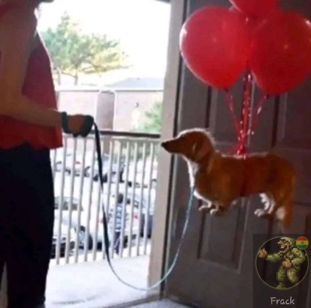 Sin título - Meme subido por Frack :) Memedroid