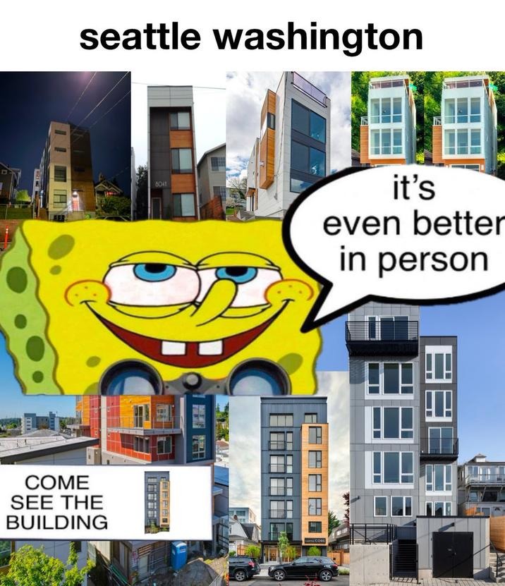Funny Seattle Memes Internet Earns Its Stripes: Jokes, Memes Spotted