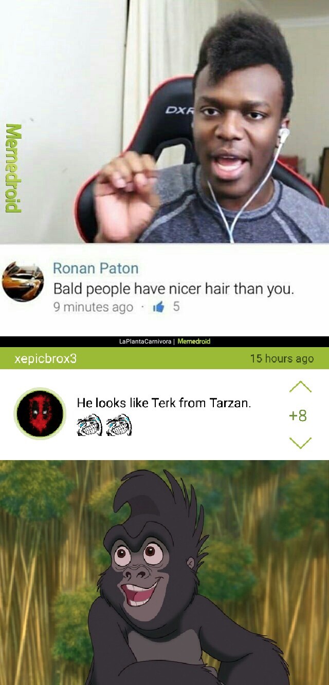 Terk - Meme by Skyl3t :) Memedroid