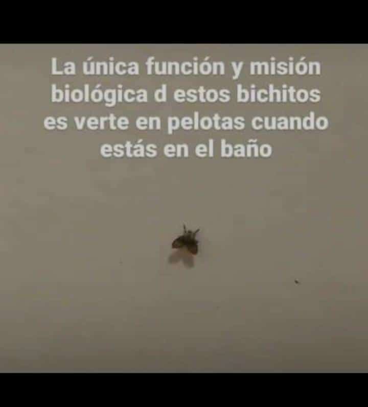 Jsjs - Meme subido por Its_Chris_vp :) Memedroid