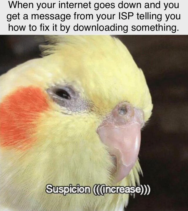 suspicion - Meme by adam1415 :) Memedroid