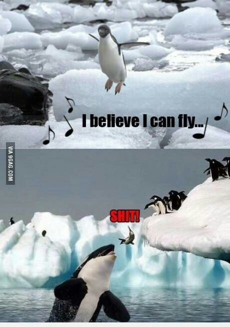 I belive I can fly - Meme subido por lia._. :) Memedroid