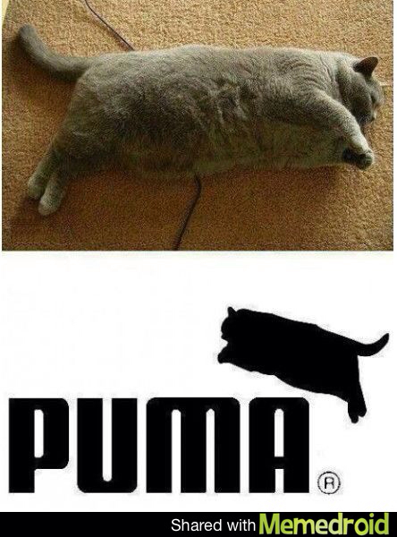 Xl - Meme subido por Memedroid mola :) Memedroid