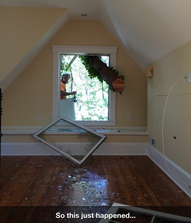 Good morning wood - Meme by soydolphin :) Memedroid