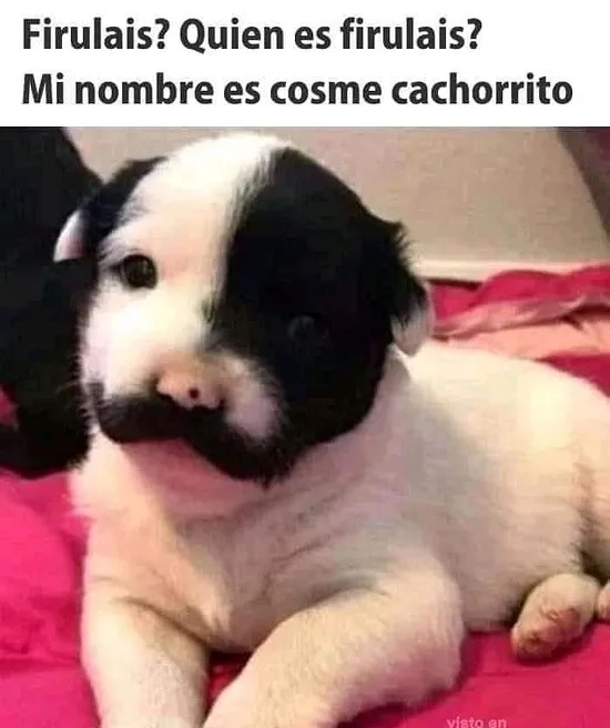 Los simpson - Meme subido por KARAX :) Memedroid