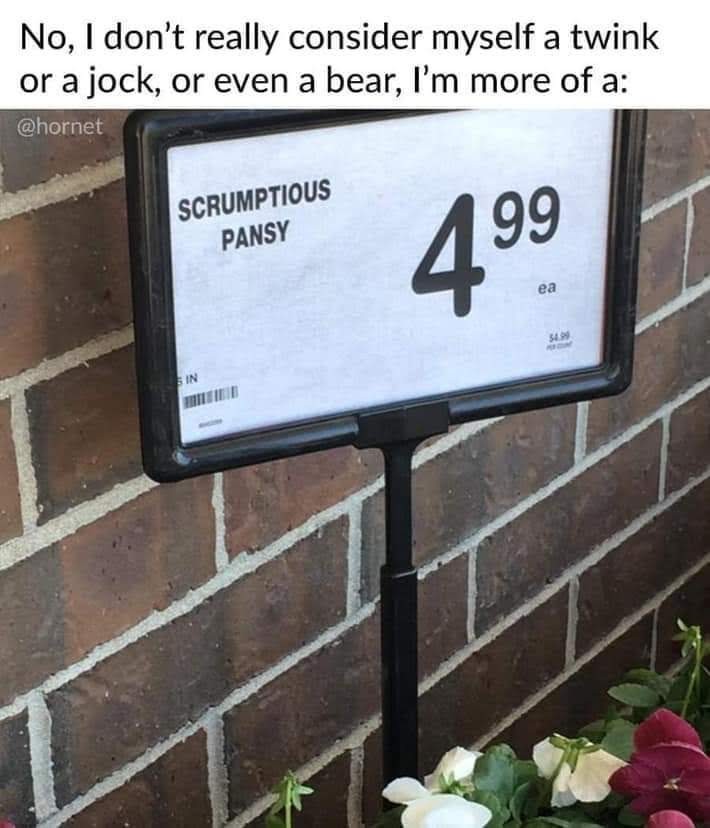 Probably about right - Meme subido por RADFROOD25 :) Memedroid