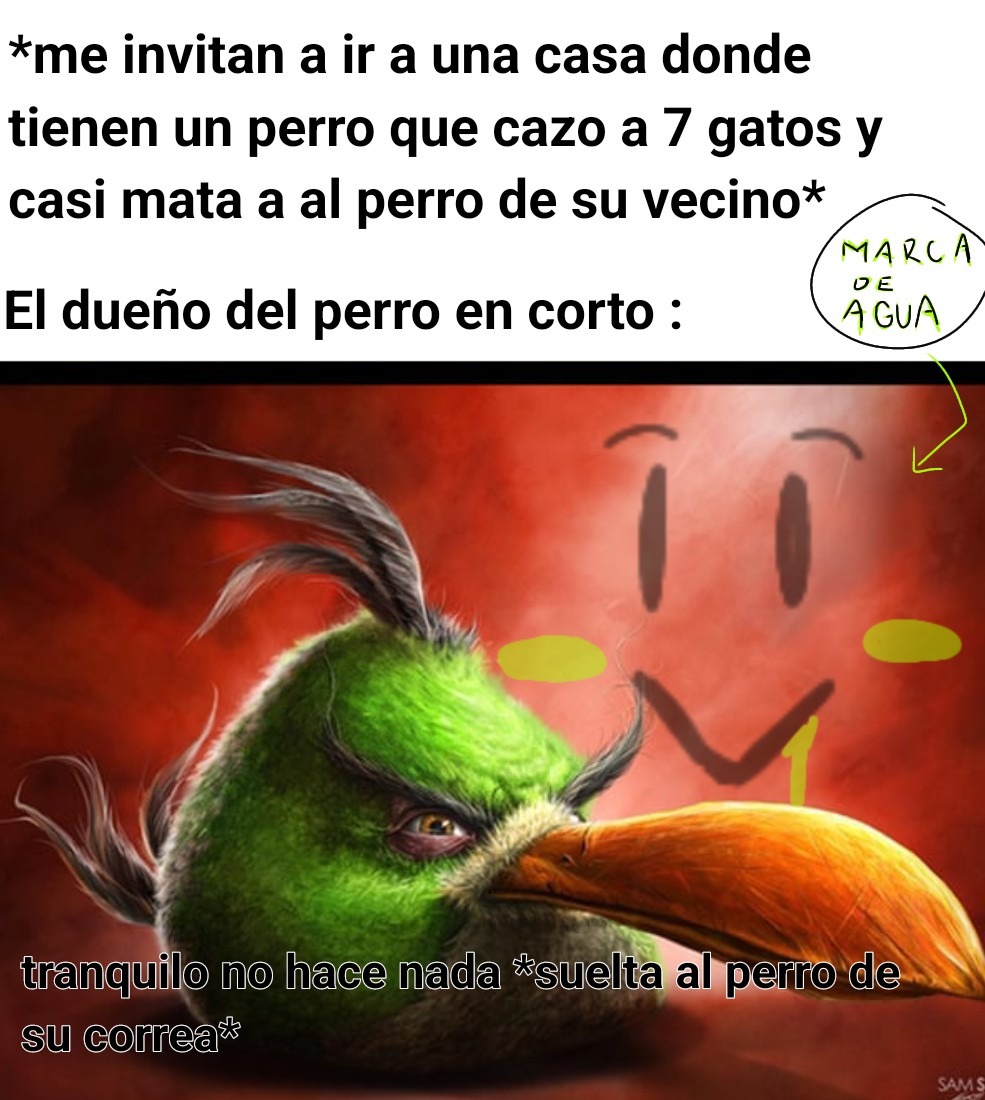 Top memes de Angry Birds Realistico en español :) Memedroid