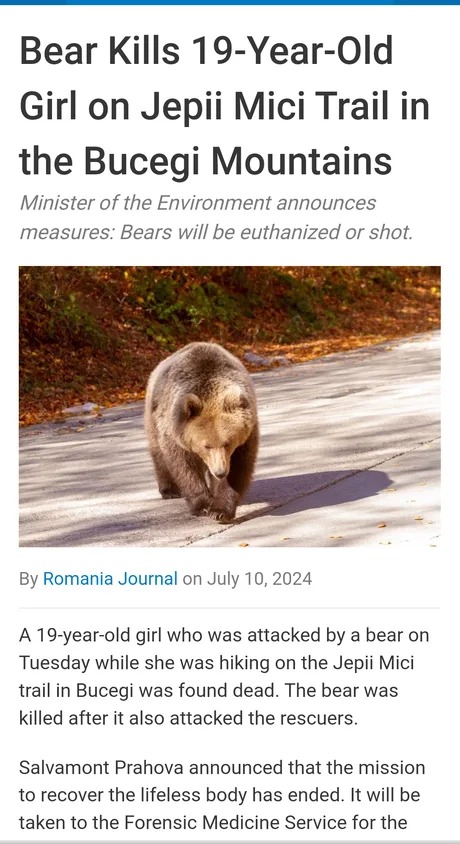 The best Bear memes :) Memedroid