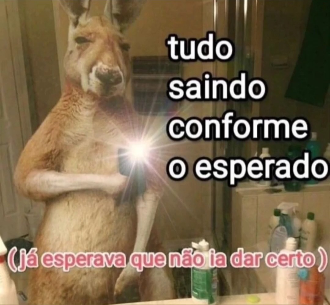 Aquele que já caiu não tem medo do chão - Meme by Gatodarodovia124 ...
